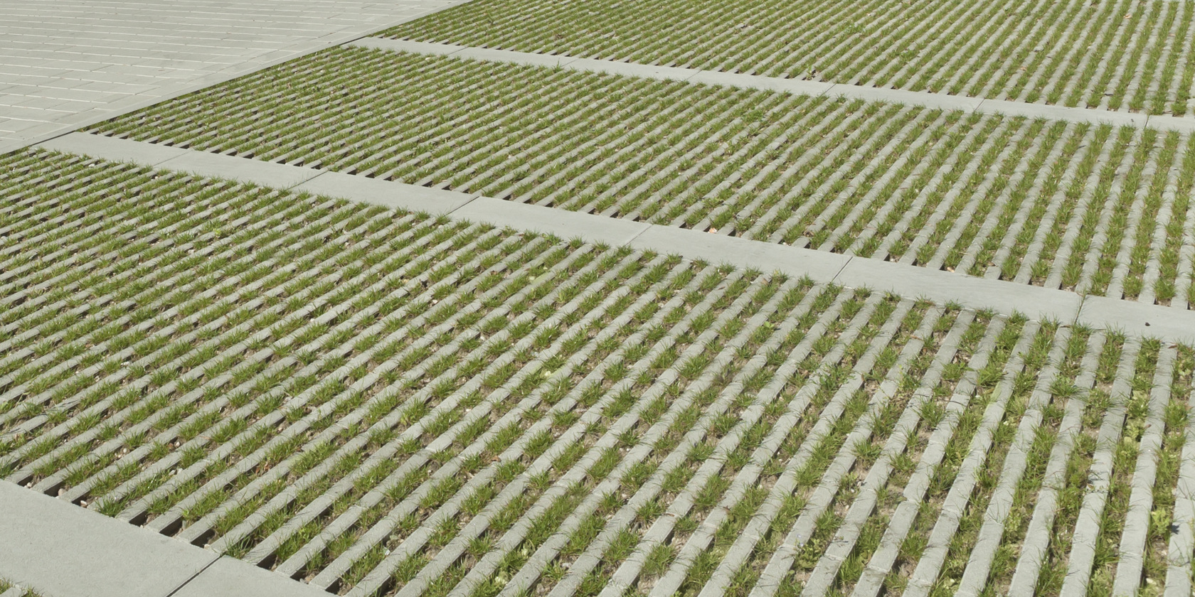 KL-Rasenplatte: Mit Stegen zum Verfüllen der Fugen mit Splitt und Grün