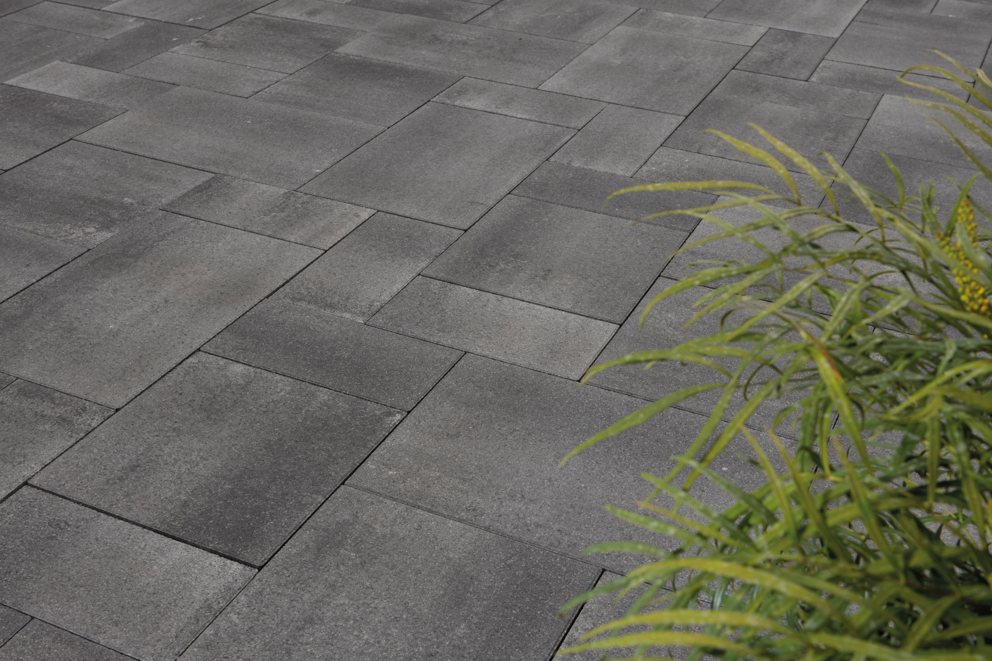 Medino Terrassenplatten in großem Format mit natürlichen Farbverläufen