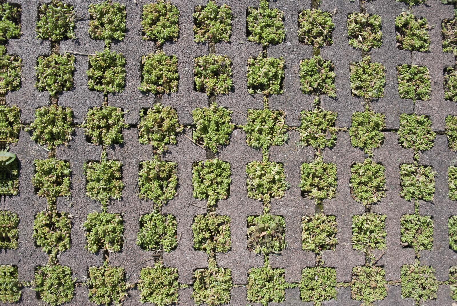 Rasengitterstein mit Wasserdurchlässigkeit für entsiegelte Flächen.